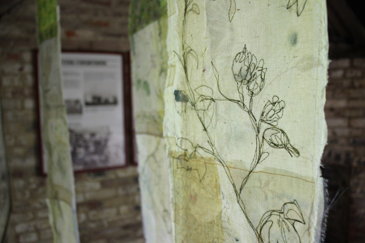 About – cas holmes