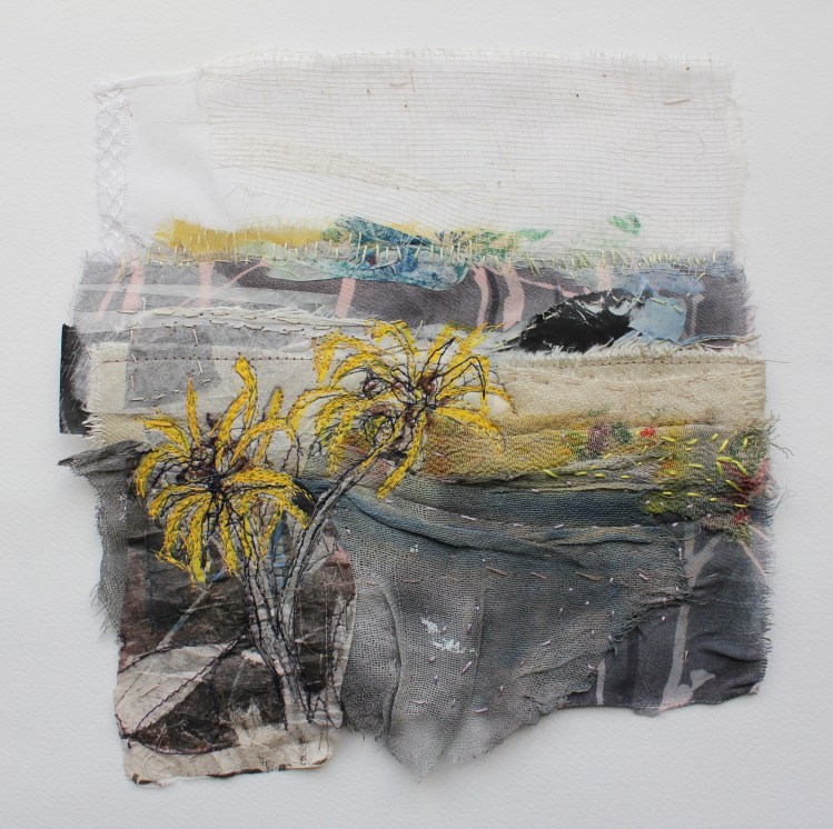 Shop – cas holmes